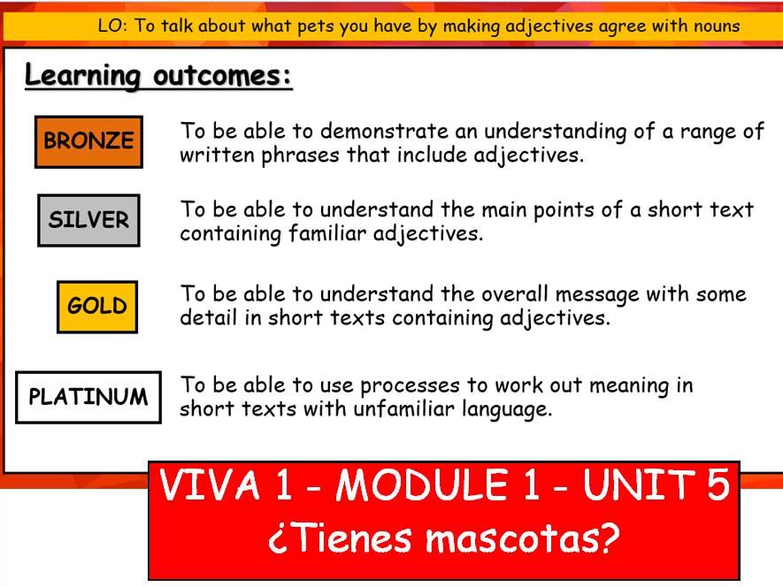 Viva 1 - Module 1 - Mi vida - Unit 5 - ¿Tienes mascotas? | Teaching ...