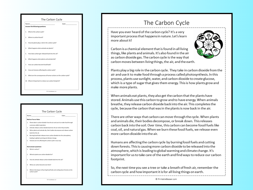 The Carbon Cycle Reading Comprehension Passage Printable Worksheet ...
