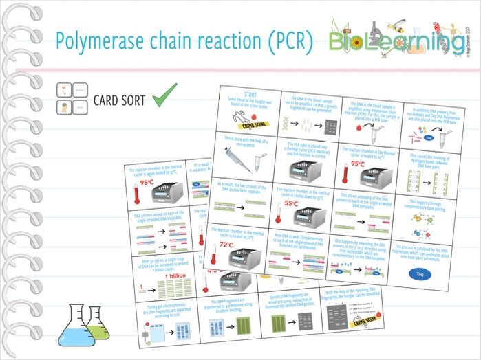 Polymerase chain reaction (PCR) - Card Sort (KS5) | Teaching Resources