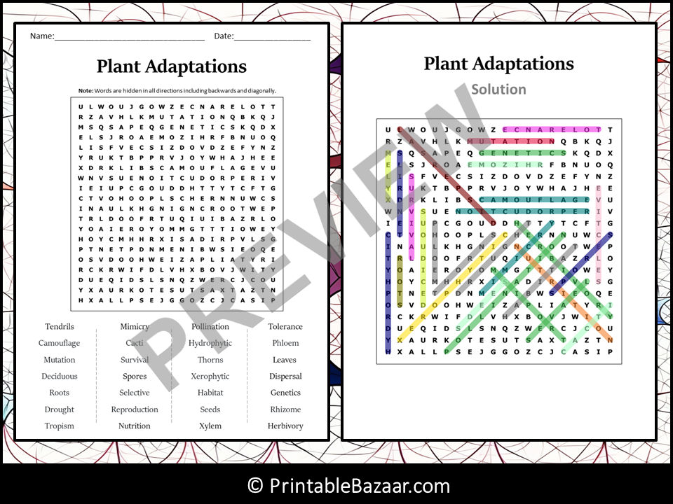 Plant Adaptations Word Search Puzzle Worksheet Activity | Teaching ...