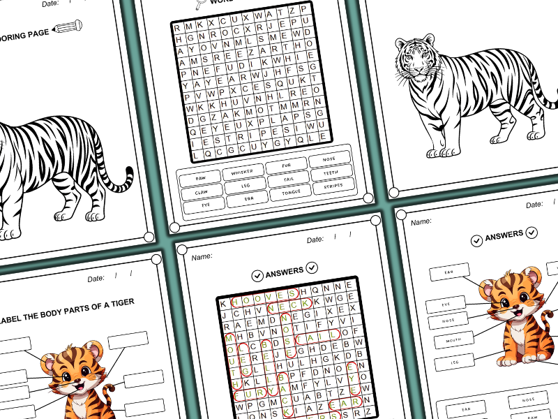 Tiger Body Parts in English | Wild Animal Labeling, Coloring & Word ...
