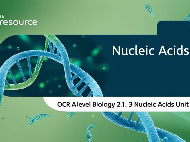 OCR A-level biology 2.1.3 Nucleic acids- Whole topic | Teaching Resources