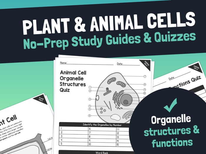 Plant & Animal Cell Structures Functions Unit | Organelle Study Guides ...