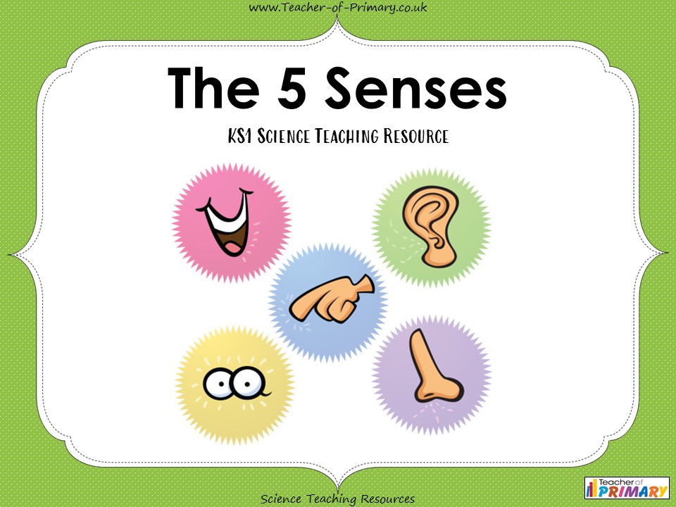 The 5 Senses KS1 Teaching Resources