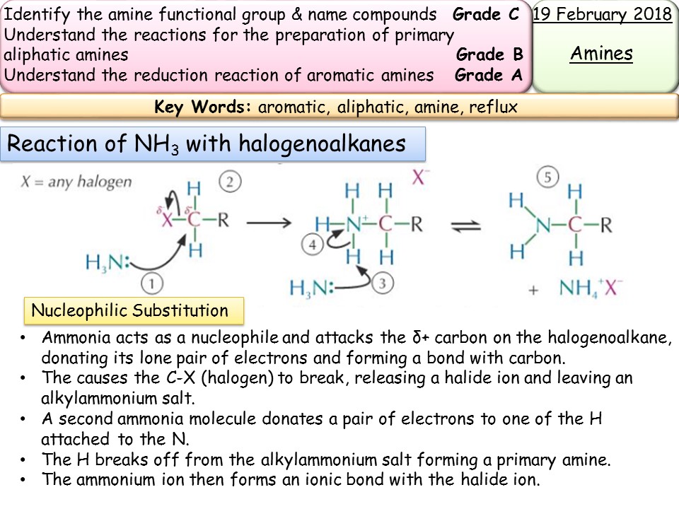 New AQA A2 Organic chemistry- Amines | Teaching Resources