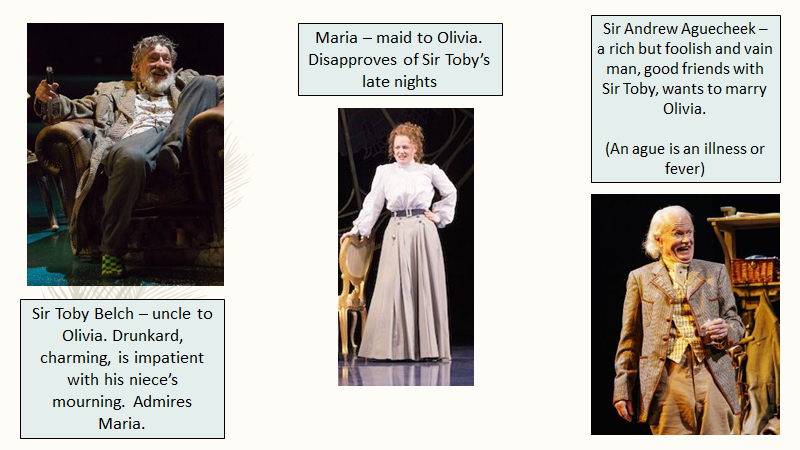 (I)GCSE Twelfth Night SOW | Teaching Resources