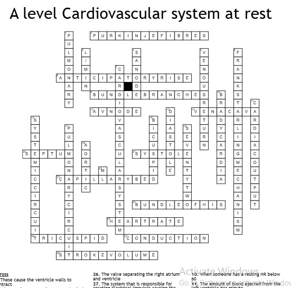 OCR Alevel PE CV at Rest crossword | Teaching Resources