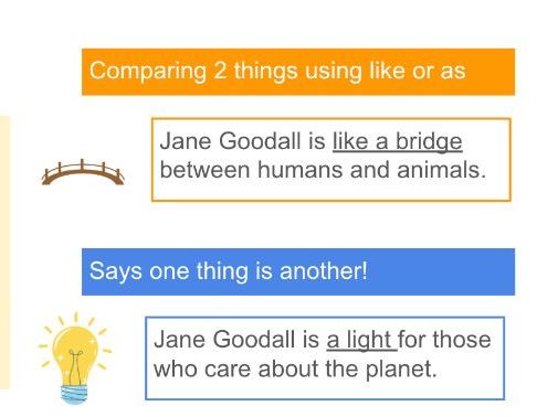Jane Goodall- Legacy and Inspiration | Teaching Resources