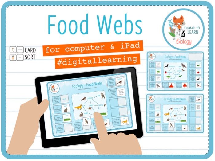 Food Webs - Digital Card Sort (KS2/3) | Teaching Resources