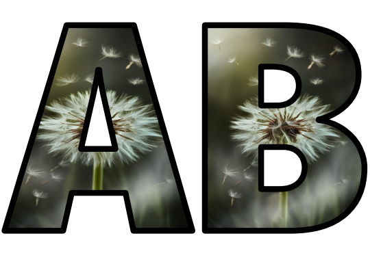 Dandelion Flower Seed Dispersal Science Lettering Set Display Title ...