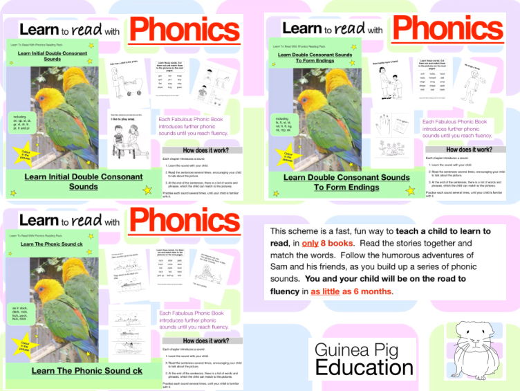 Guinea Pig Education - Teaching Resources - TES