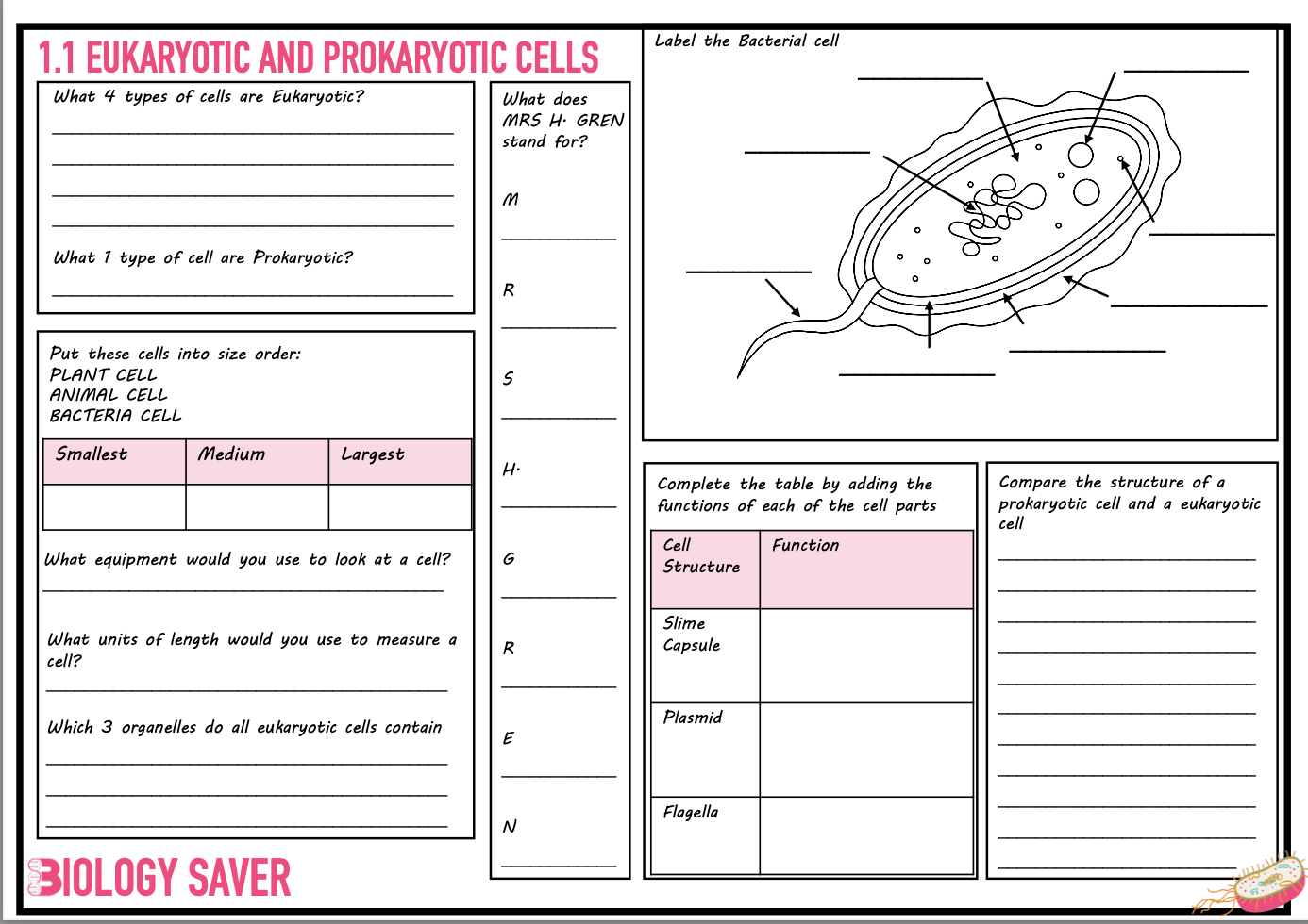 GCSE Biology Revision Mats - 1.1 Cell Structure | Teaching Resources