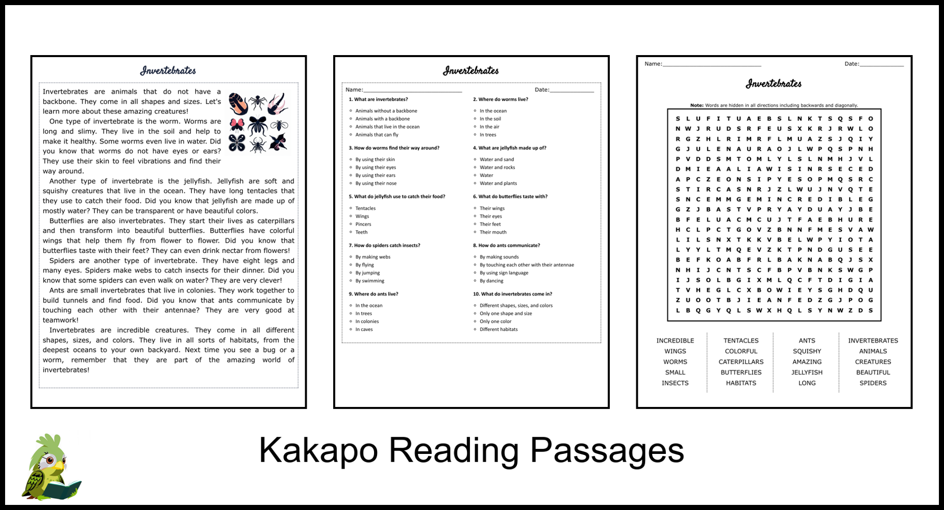 Invertebrates Reading Comprehension and Word Search | Teaching Resources