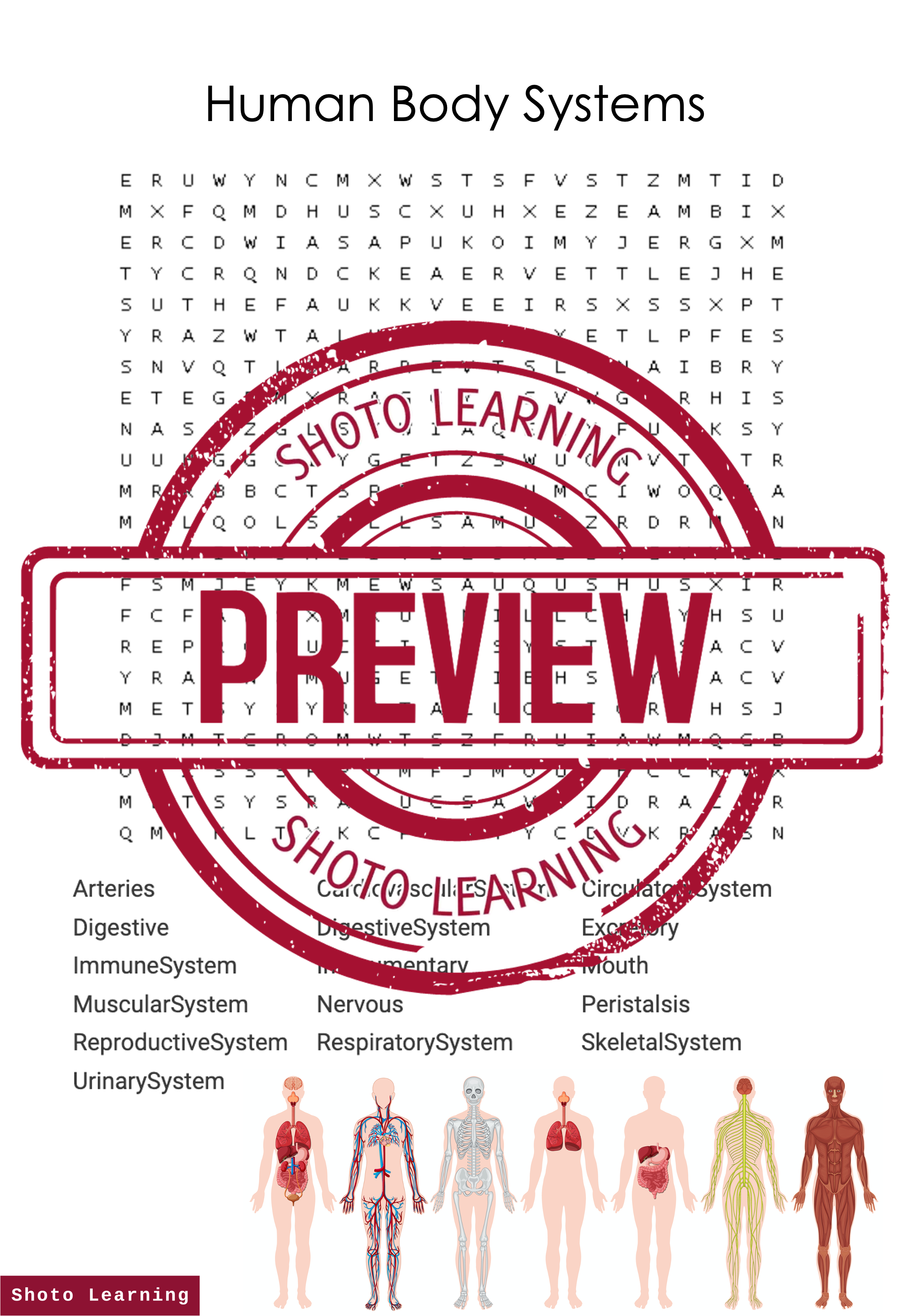 HUMAN BODY SYSTEMS SCIENCE ACTIVITY - WORD FIND GAME VOCABULARY WORDS ...