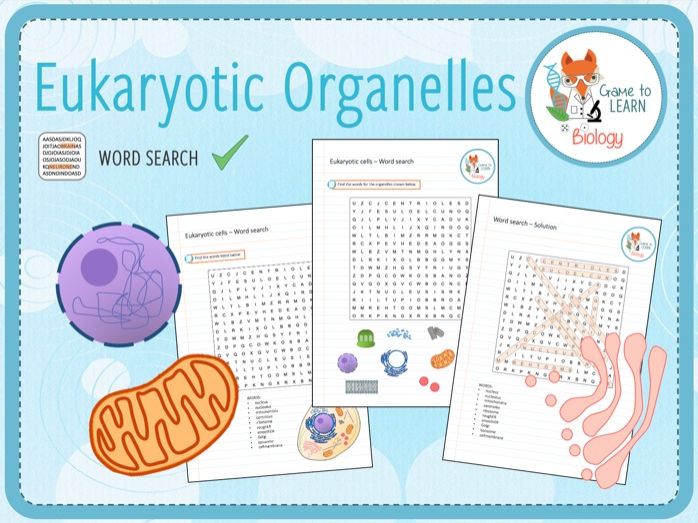 Eukaryotic Organelles Word Search KS5 Teaching Resources