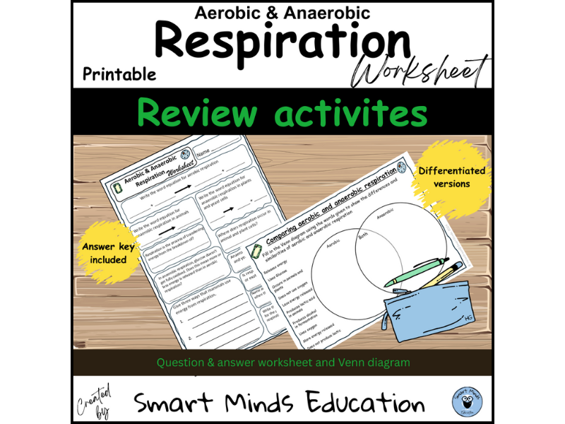 CELLULAR RESPIRATION - AEROBIC & ANAEROBIC RESPIRATION REVIEW ACTIVITY ...