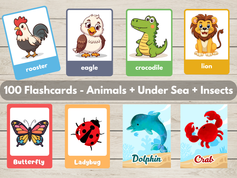 100 Fun Flashcards: Animals, Under the Sea & Insects | Teaching Resources
