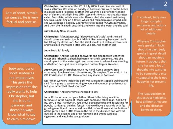 IGCSE Curious Incident (play) - lesson bundle! | Teaching Resources