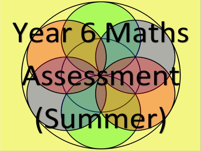 Year 6 Maths Assessment And Tracking SUMMER Teaching Resources