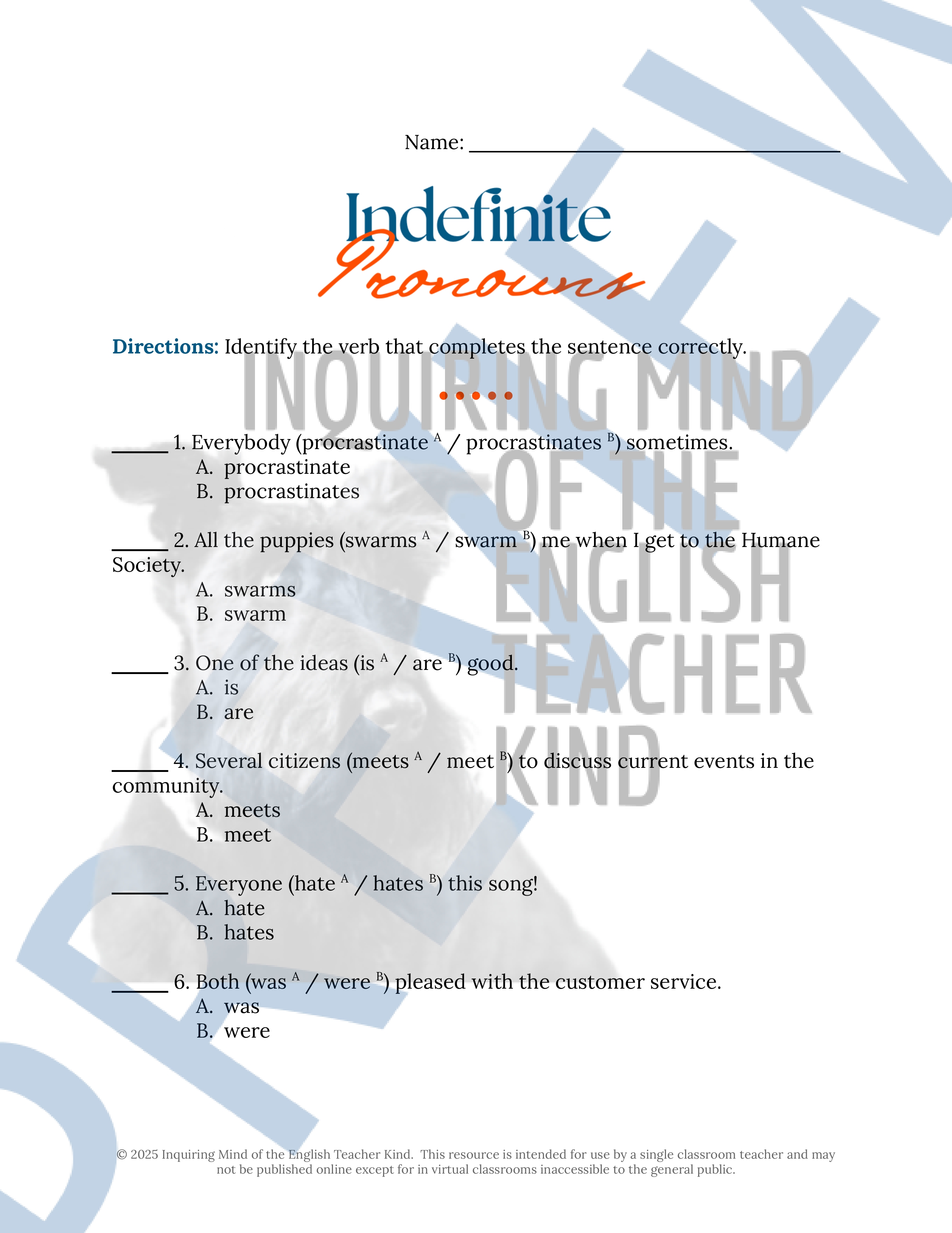 Grammar Review Practice Worksheet on Singular and Plural Indefinite ...