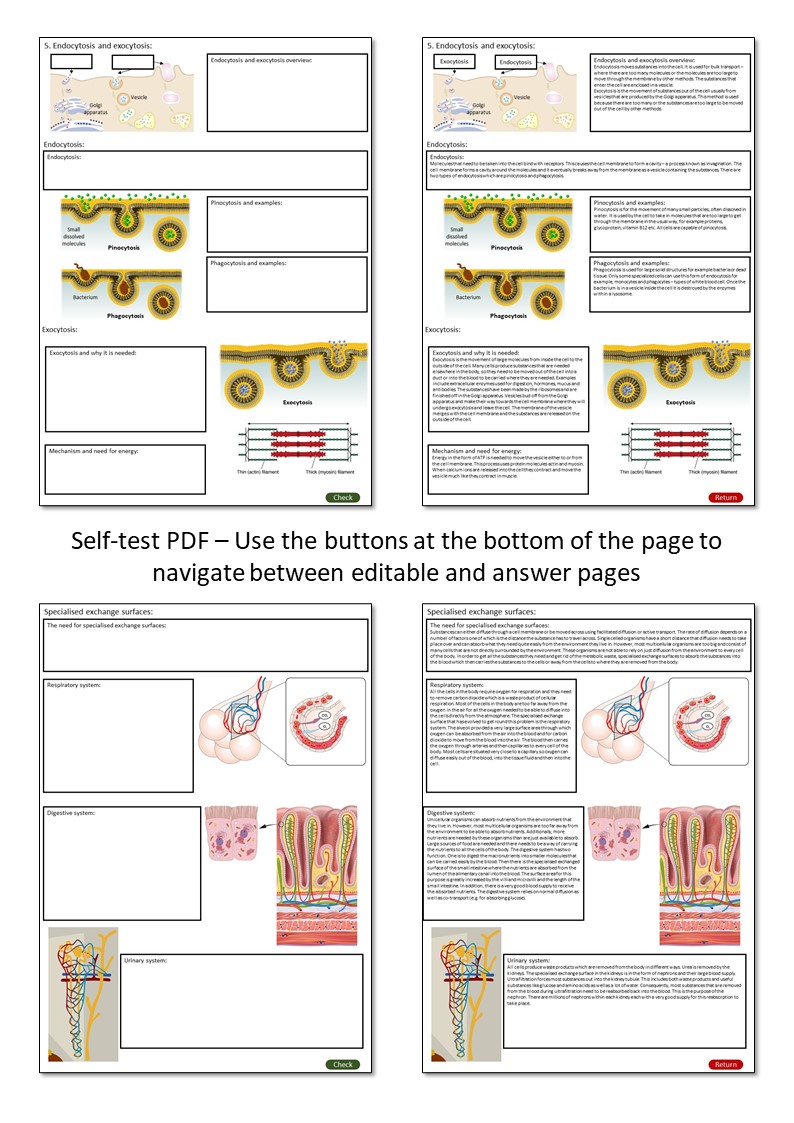 BTEC level 3 Applied Science Unit 5 - Biology: Cell Transport ...