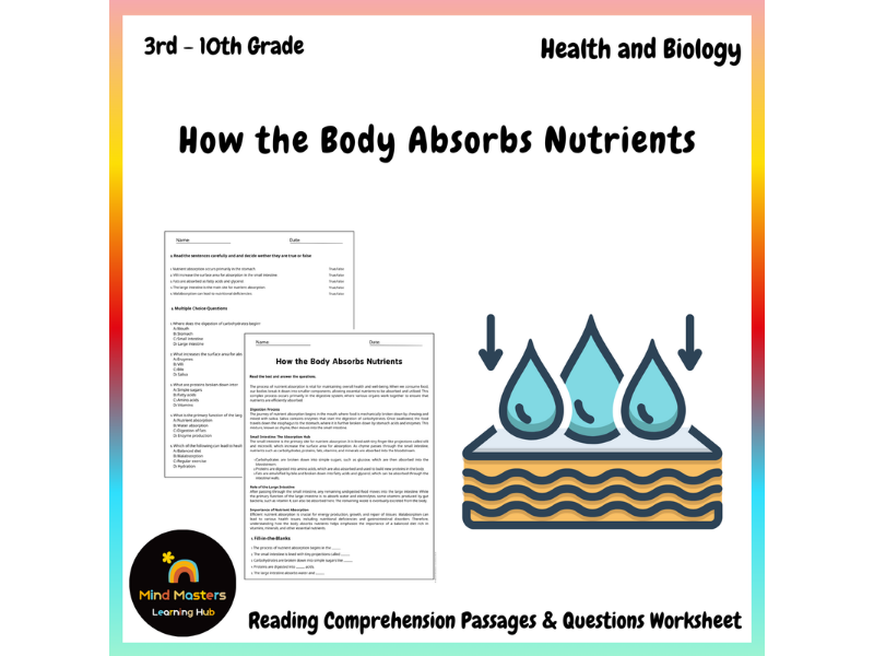 How the Body Absorbs Nutrients Reading Comprehension Passages ...