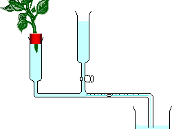 Jayto's Shop - Teaching Resources - TES