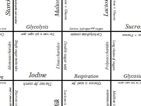 AS Edexcel Biology Carbohydrates card sort (Lifestyle health risk ...