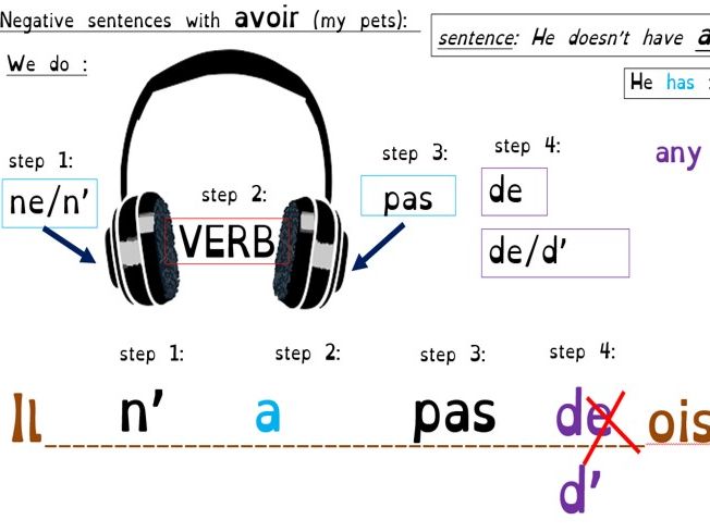 Intro/ Review negative sentences (avoir+age / pets) ( etre ...