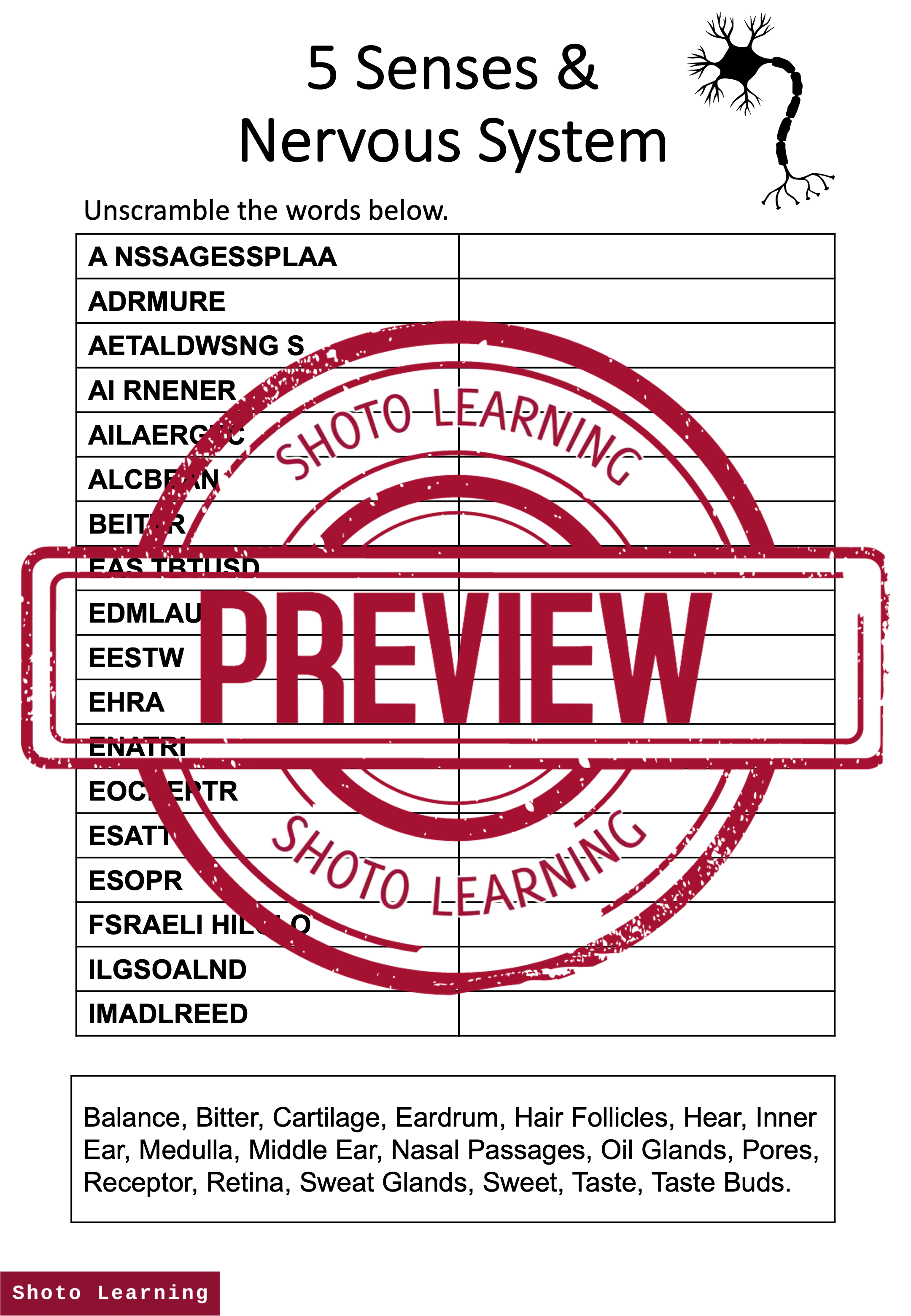 5 SENSES AND NERVOUS SYSTEM SCIENCE ACTIVITY SCRAMBLE WORDS UNSCRAMBLE 5-senses-and-nervous-system-science-activity-scramble-words-unscramble
