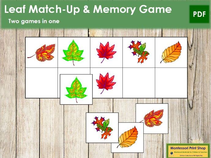 Leaf Match-Up and Memory Game (Visual Discrimination & Recall Skills ...