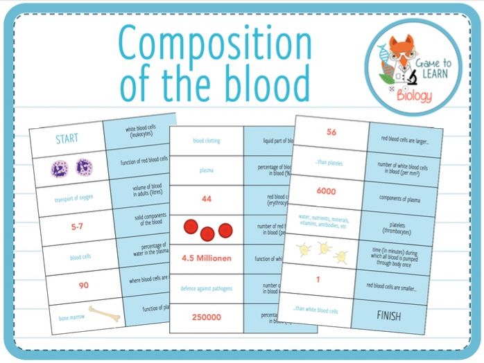 Composition of the Blood - Loop Game (KS3/4) | Teaching Resources