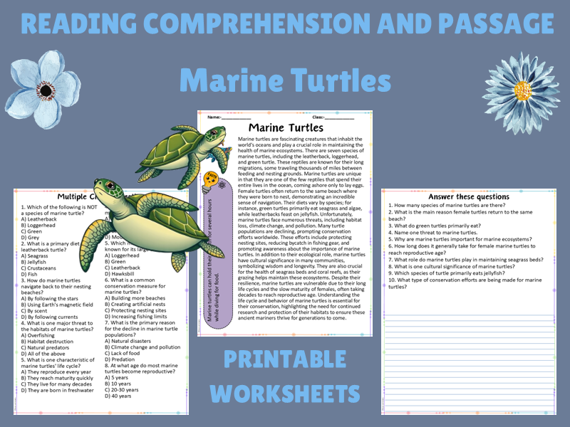 Marine Turtles: Discover Fascinating Facts and Insightful Questions ...