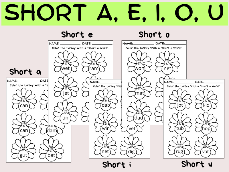 Thanksgiving Turkey CVC Word Sort | Short A, E, I, O, U Vowel Sound ...