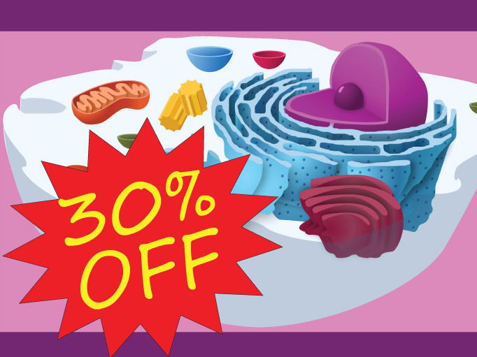 The Cell and Cellular Transport Mega Bundle Save 30%! | Teaching Resources