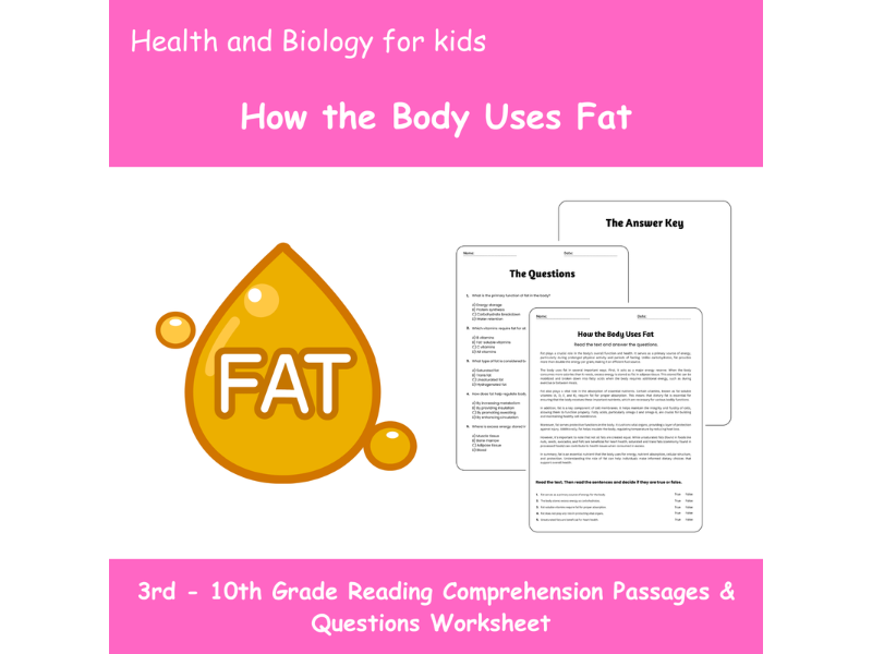 How the Body Uses Fat Reading Comprehension Passages & Questions ...