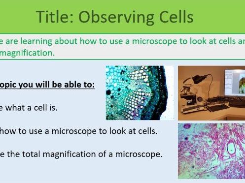 KS3 ~ Year 7 ~ Cells B1a Biology | Teaching Resources