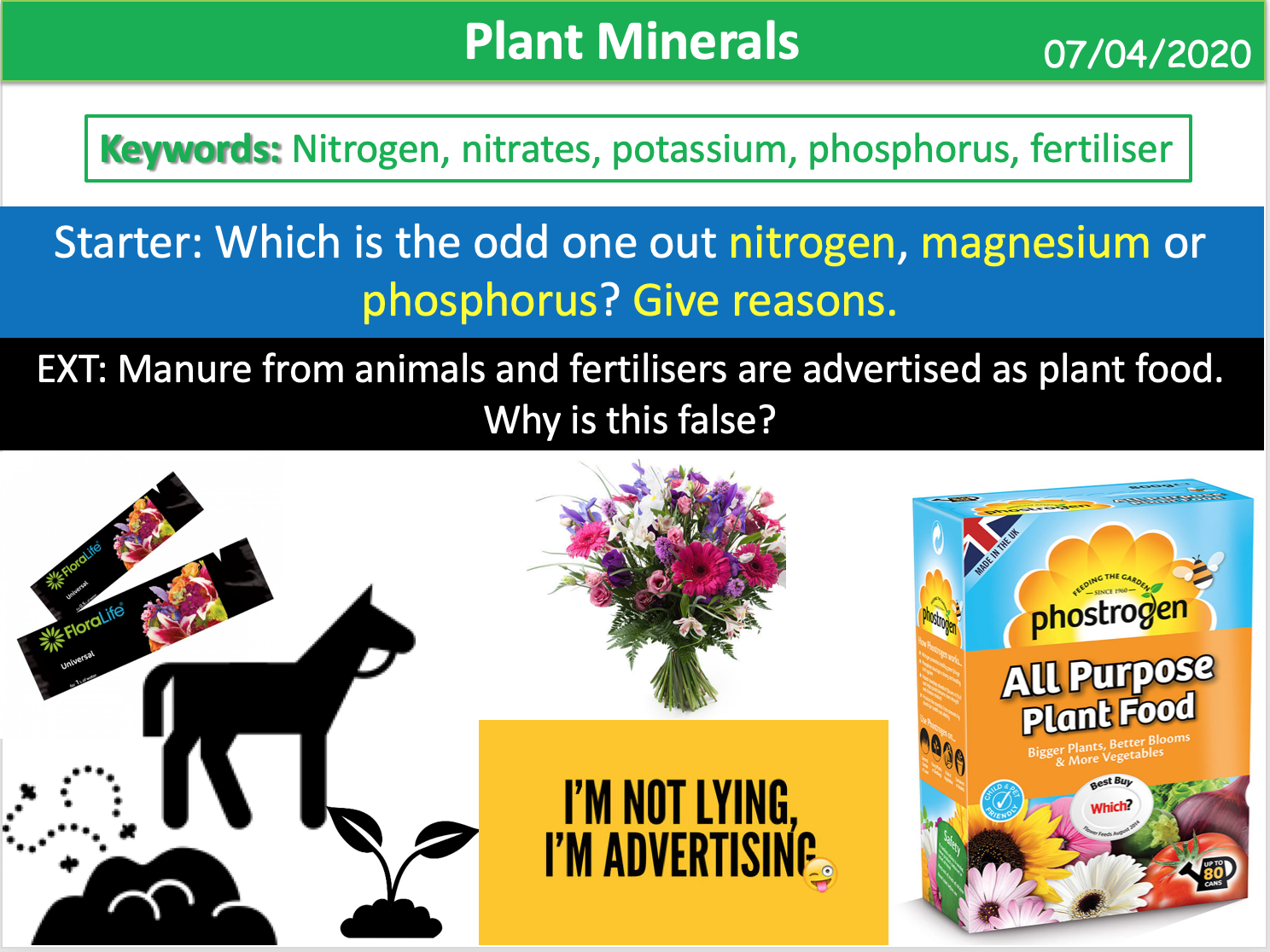 Plant Minerals | Teaching Resources