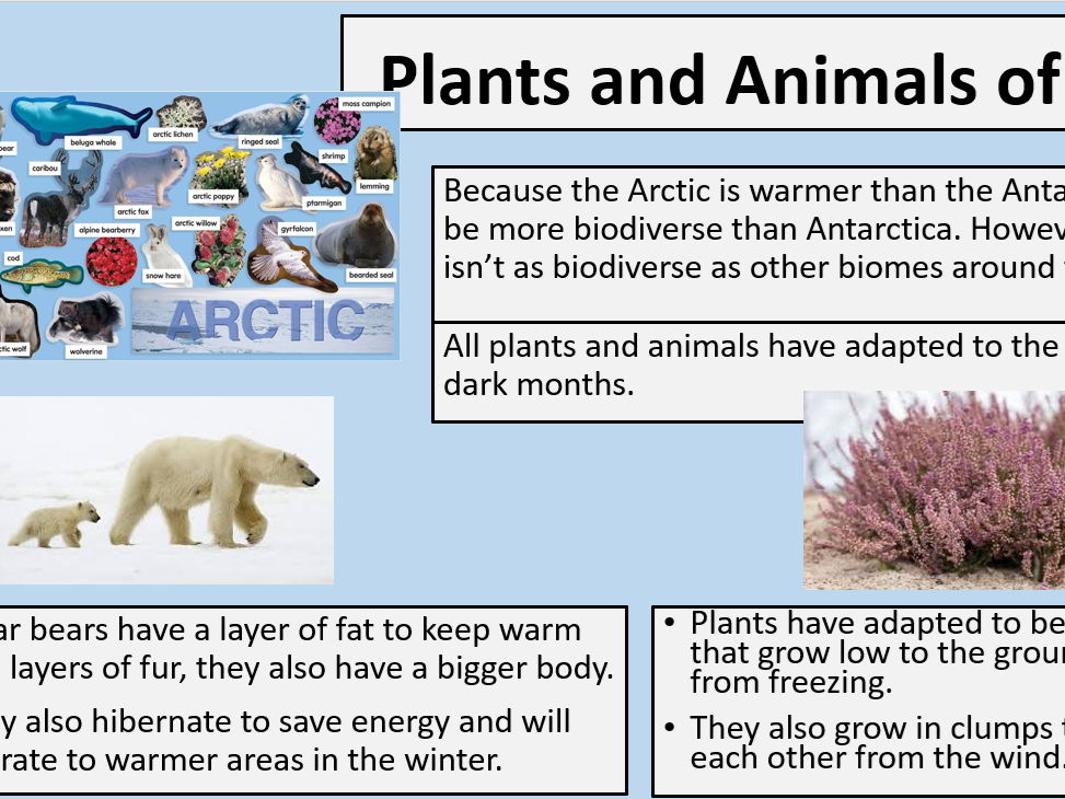Whole-school geomorphic processes and landforms resources