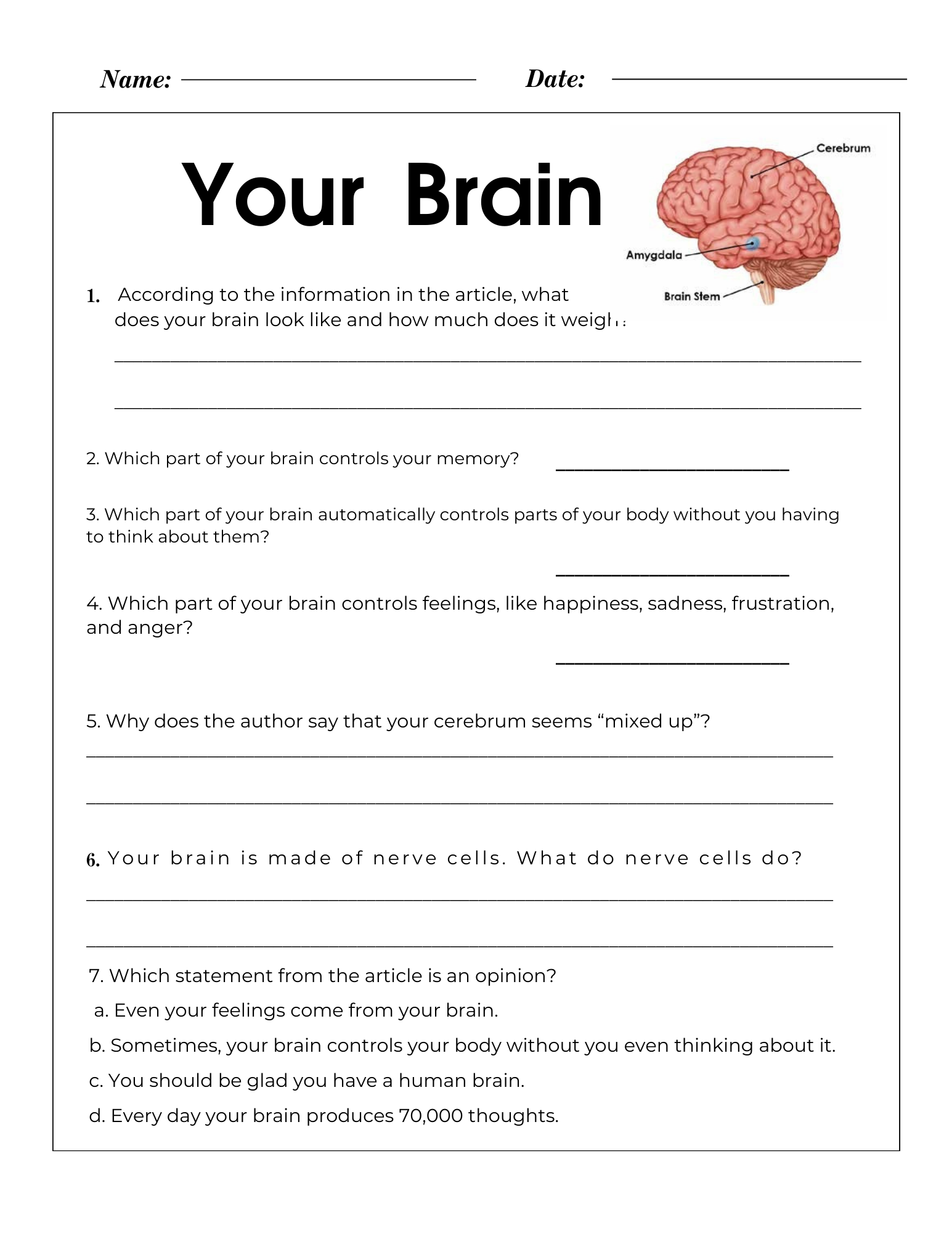 The Human Brain (Reading Passage & Comprehension Pack) | Teaching Resources