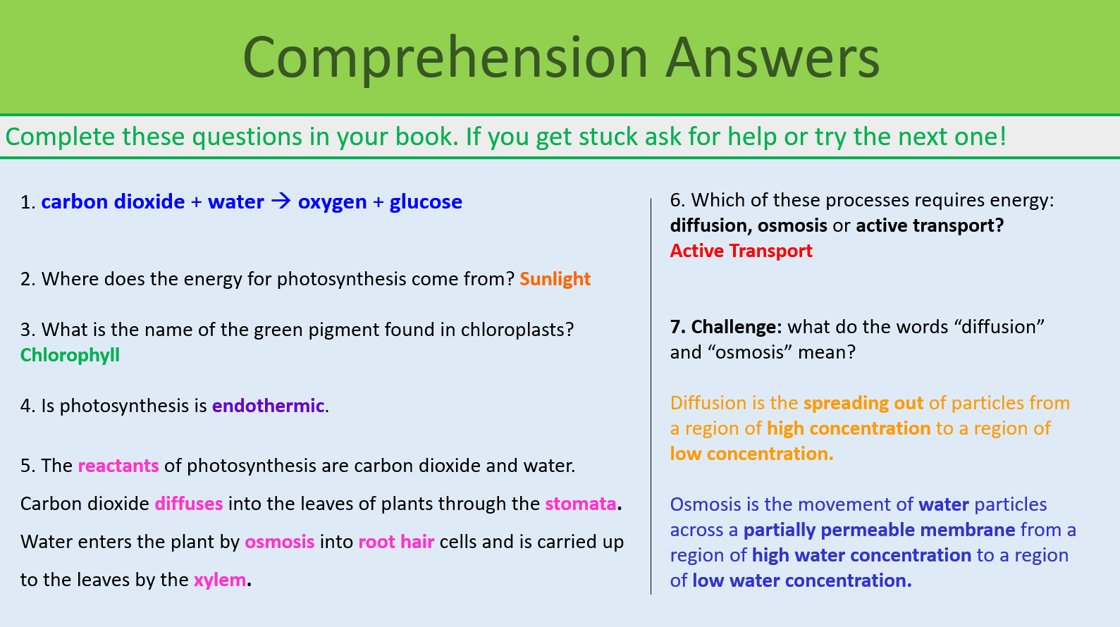 Photosynthesis Lesson GCSE Biology | Teaching Resources