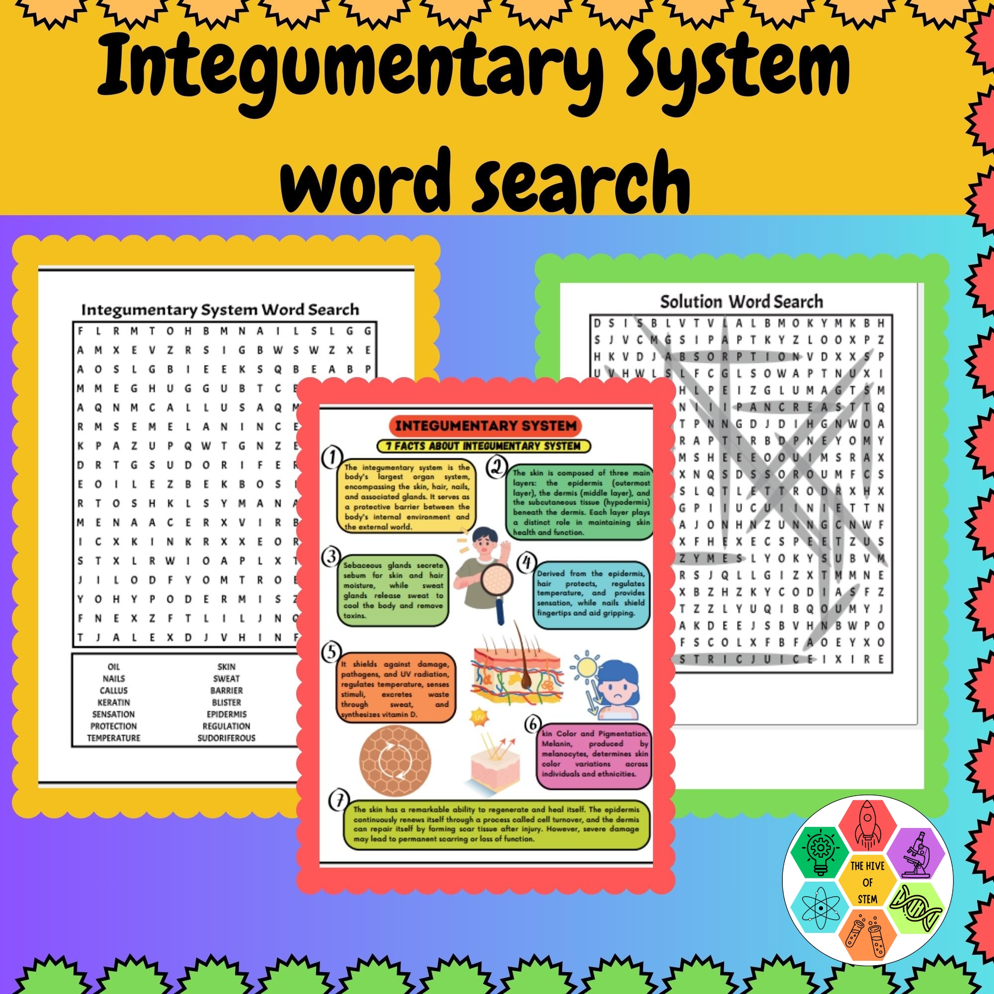 Human Body Systems | Integumentary System | Facts and Word Search ...
