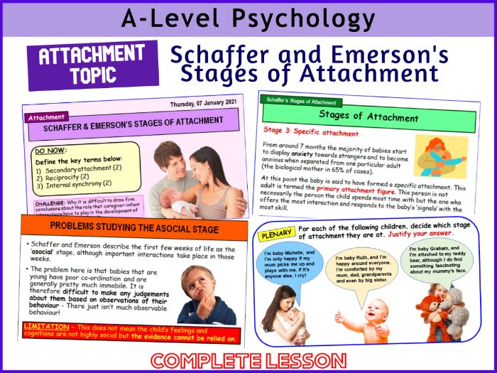 A-Level Psychology - SCHAFFER & EMERSON'S STAGES OF ATTACHMENT [1964 ...