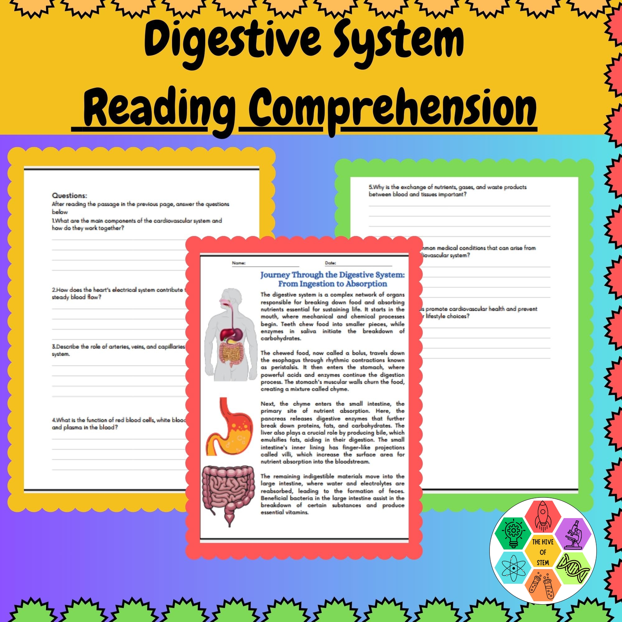 Human Body Systems | Digestive System | Reading Comprehension ...