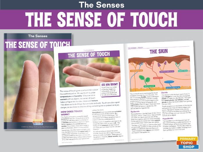 The Sense Of Touch Teaching Resources