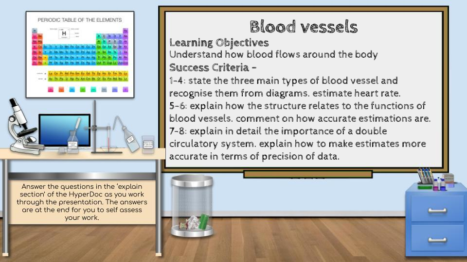 The blood vessels Distance learning | Teaching Resources