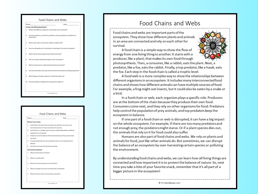 Food Chains and Webs Reading Comprehension Passage Printable Worksheet ...