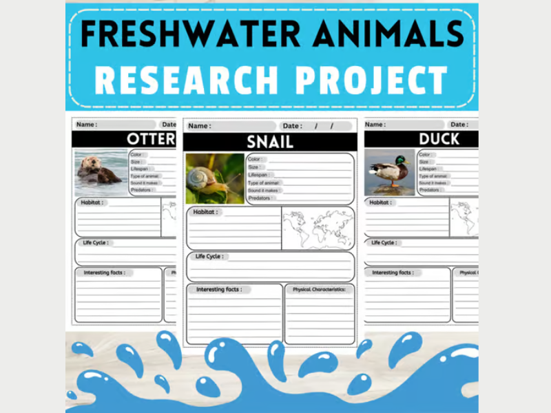 200 Animals Research Project Templates Bundle | Informational Report ...