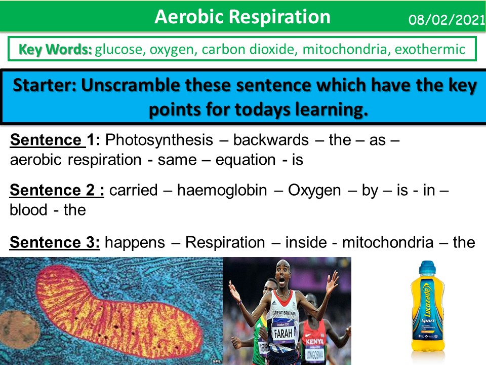 Aerobic Respiration | Teaching Resources