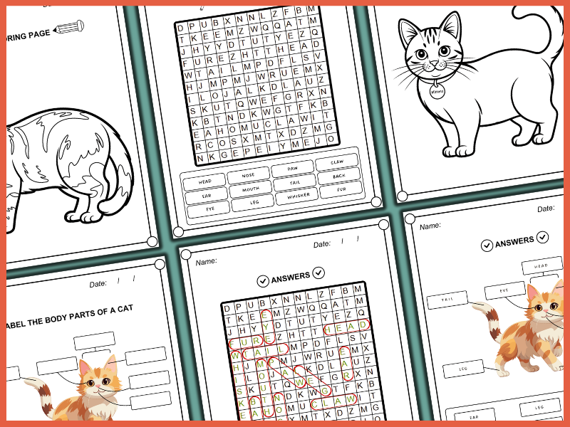Cat Body Parts Worksheet Pack | Labeling, Coloring & Word Search (K-2 ...